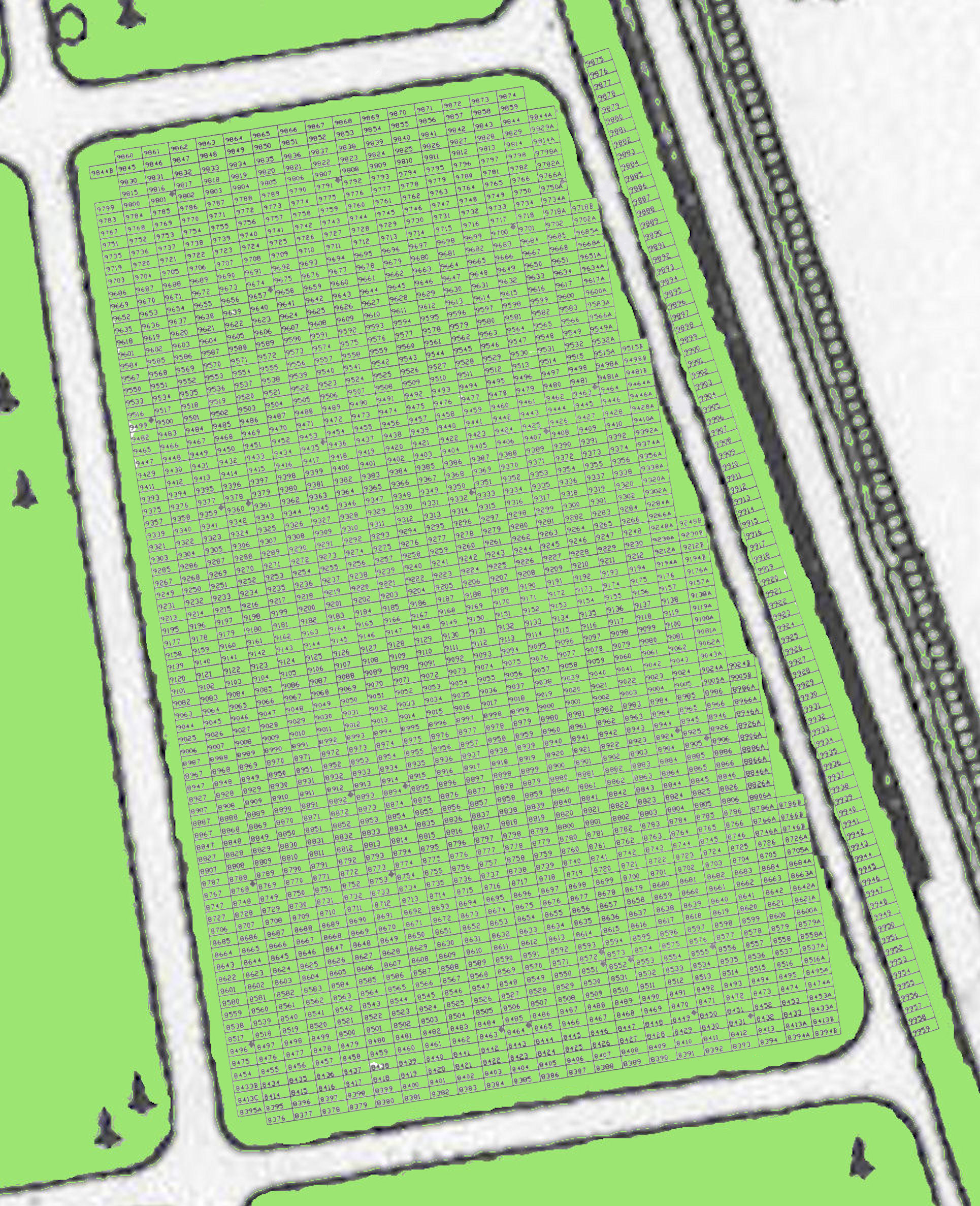 The Friends of Cathays Cemetery