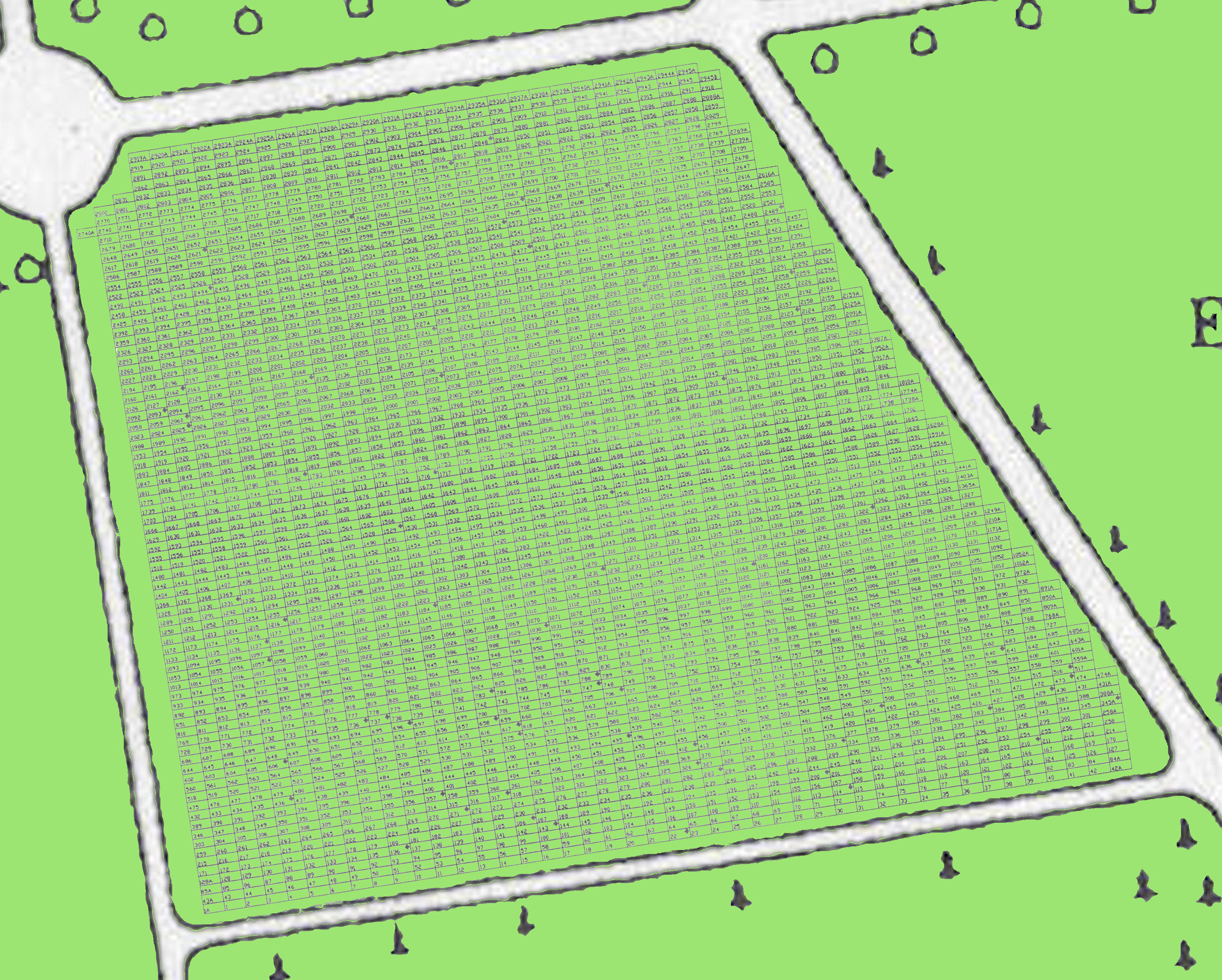The Friends of Cathays Cemetery