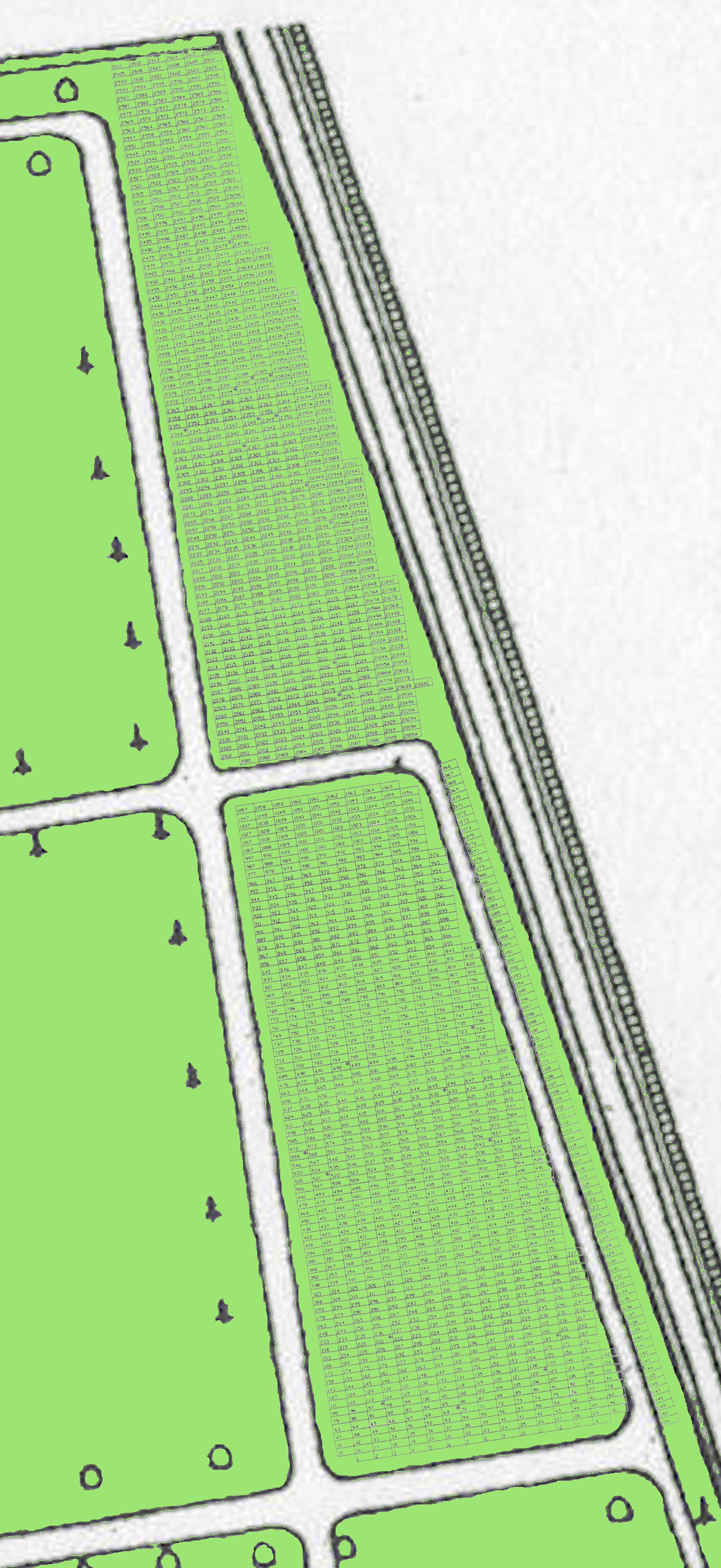 The Friends of Cathays Cemetery