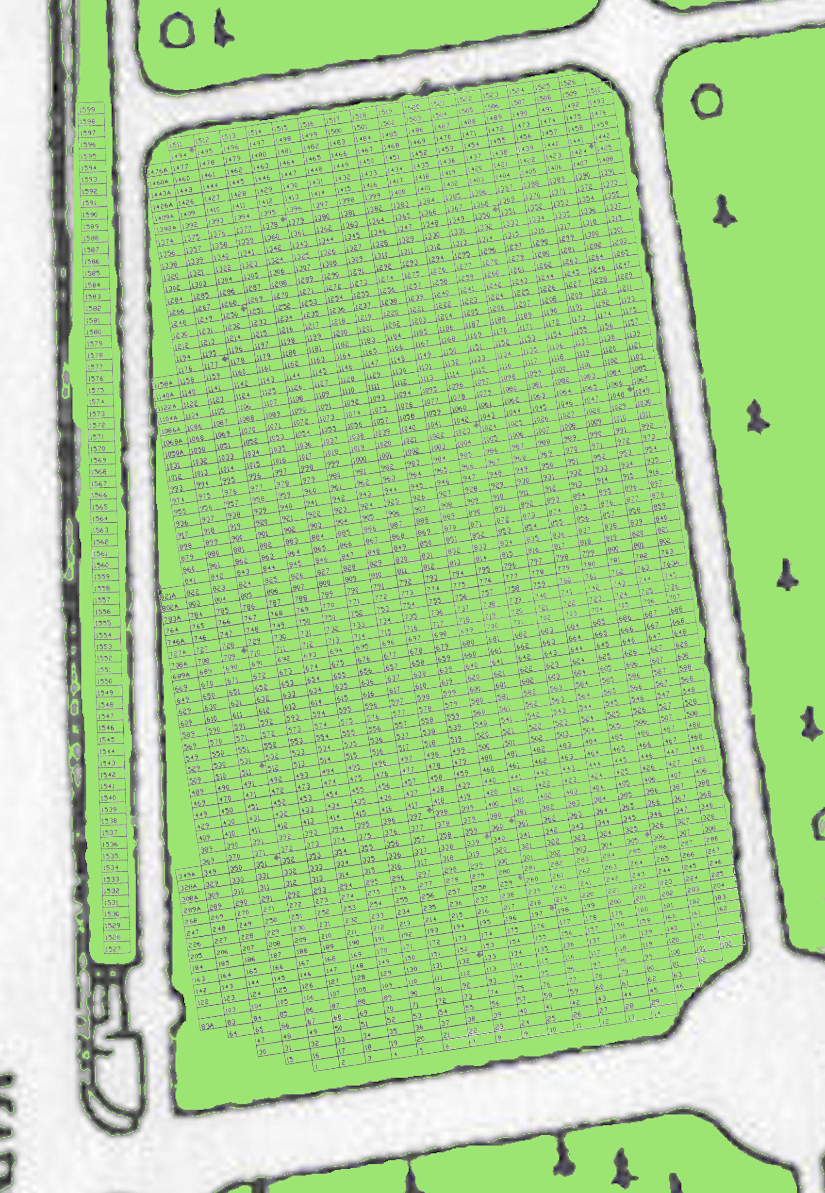The Friends of Cathays Cemetery