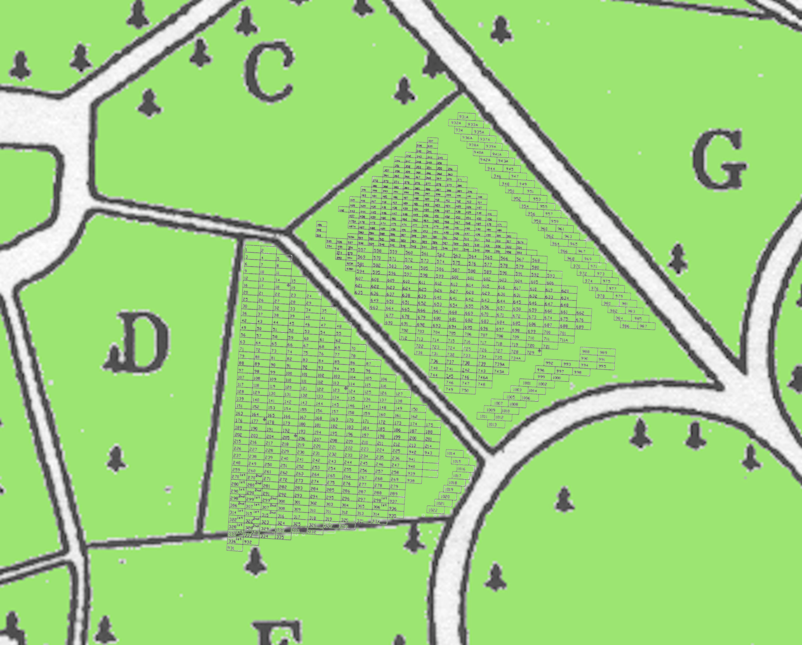 The Friends of Cathays Cemetery