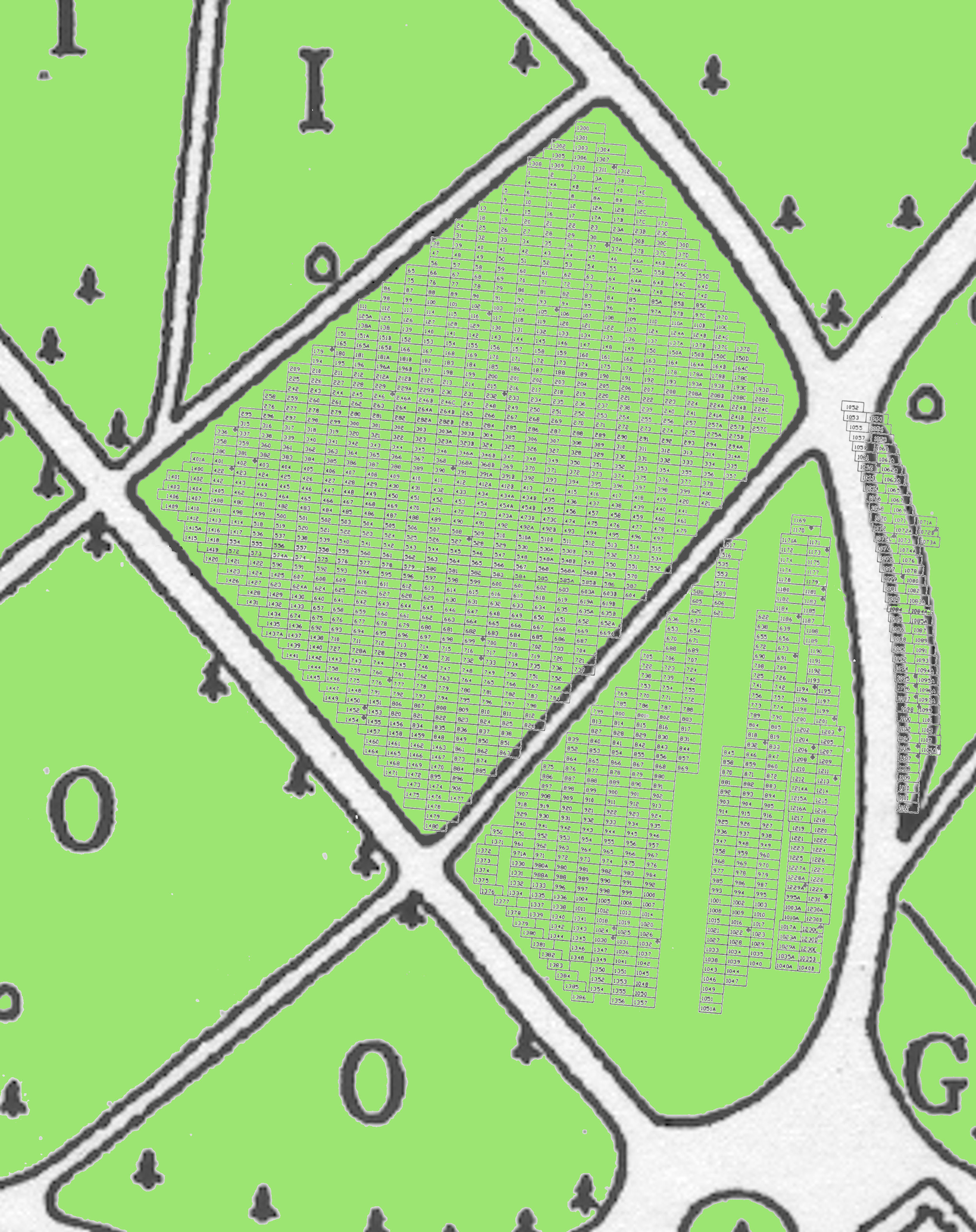 The Friends of Cathays Cemetery