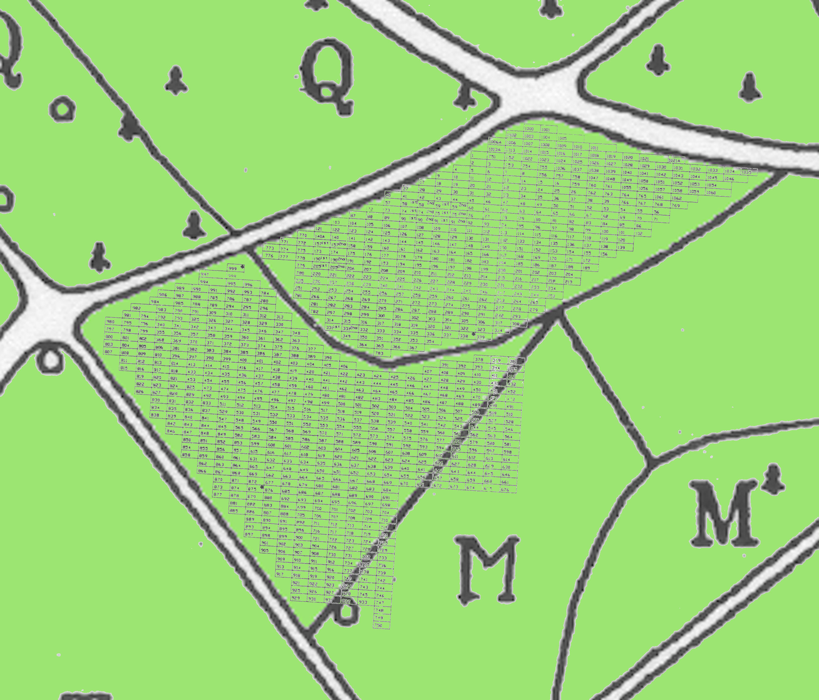 The Friends of Cathays Cemetery