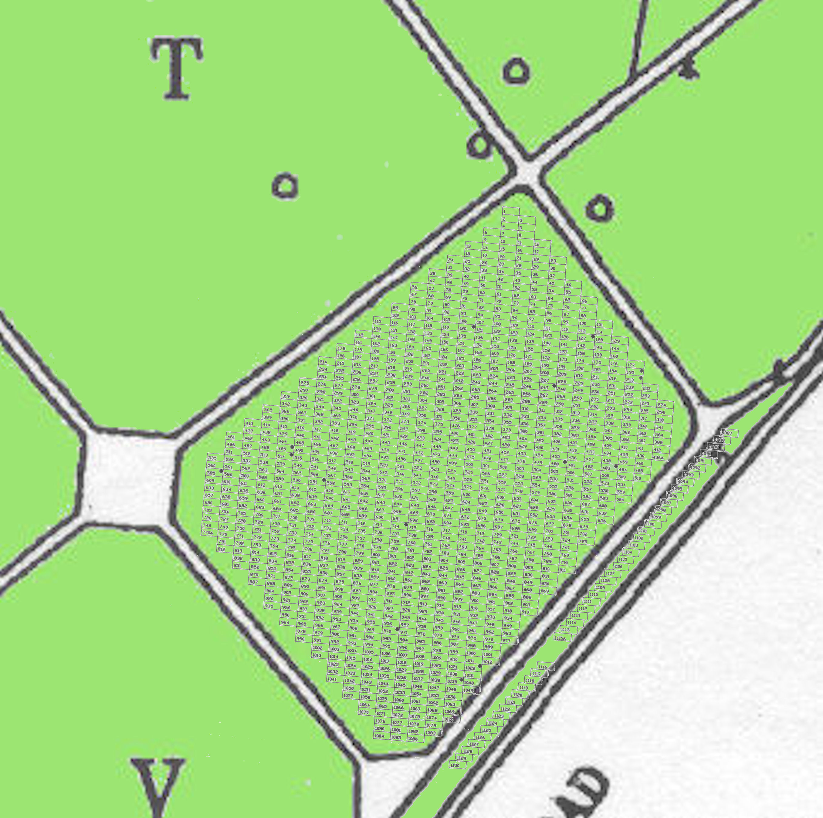 The Friends of Cathays Cemetery